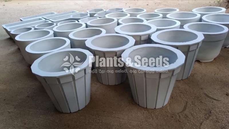 Titanium Pots - Plants And Seeds